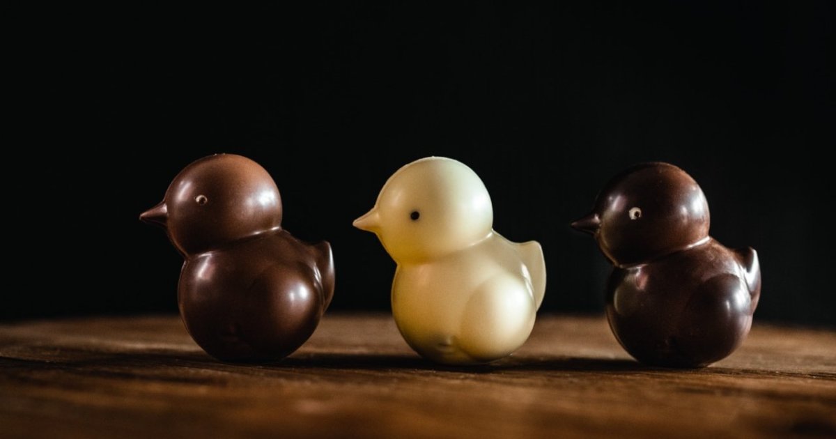 Poussin en chocolat blanc garni - Espèce de Ganache - Chocolaterie ...