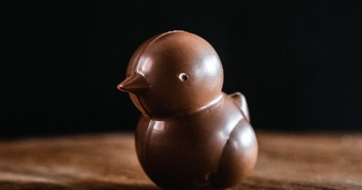 Poussin en chocolat au lait garni - Espèce de Ganache - Chocolaterie ...