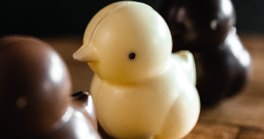 Poussin en chocolat au lait garni - Espèce de Ganache - Chocolaterie ...